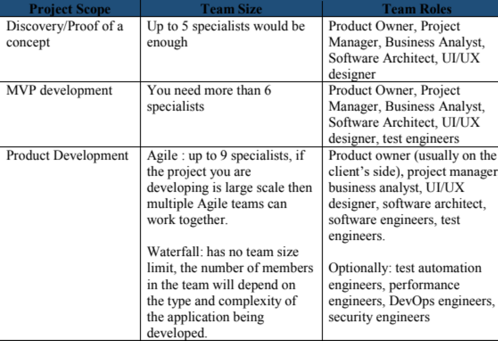 Suitable Software Development Team Structure for a Custom Project